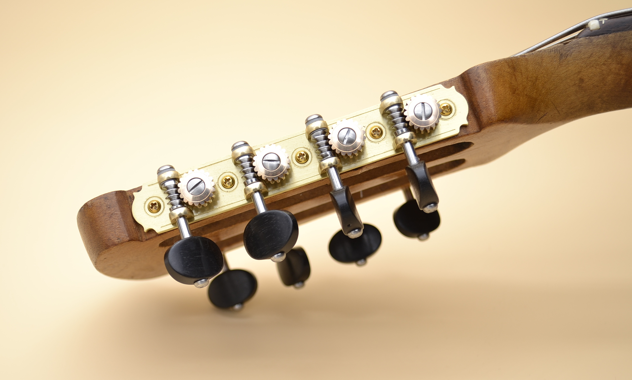 Mandolins – ALESSI TUNING MACHINES